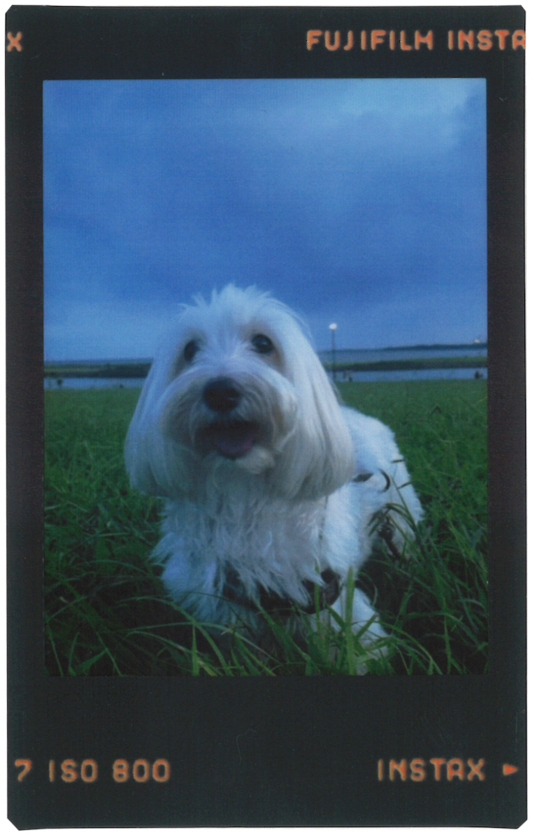 はじめまして、NOA×チェキ。“今”を突き進むソロアーティストが⾒る世界 – 【Cheki Press（チェキプレス）】毎日がちょっと楽しくなる！チェキとの生活を提案・発信するメディア ...